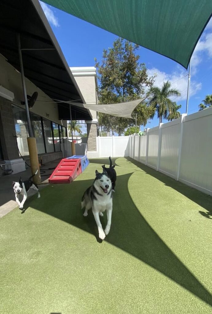 Photo Gallery | INN The Dog House